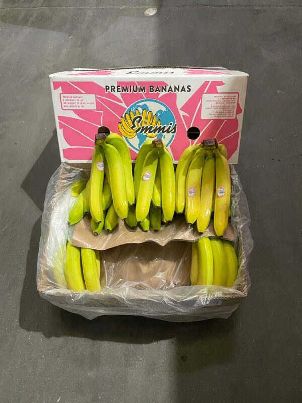 Marque exclusive Banane Emmis origine EQUATEUR ! - LION D'OR SA ...